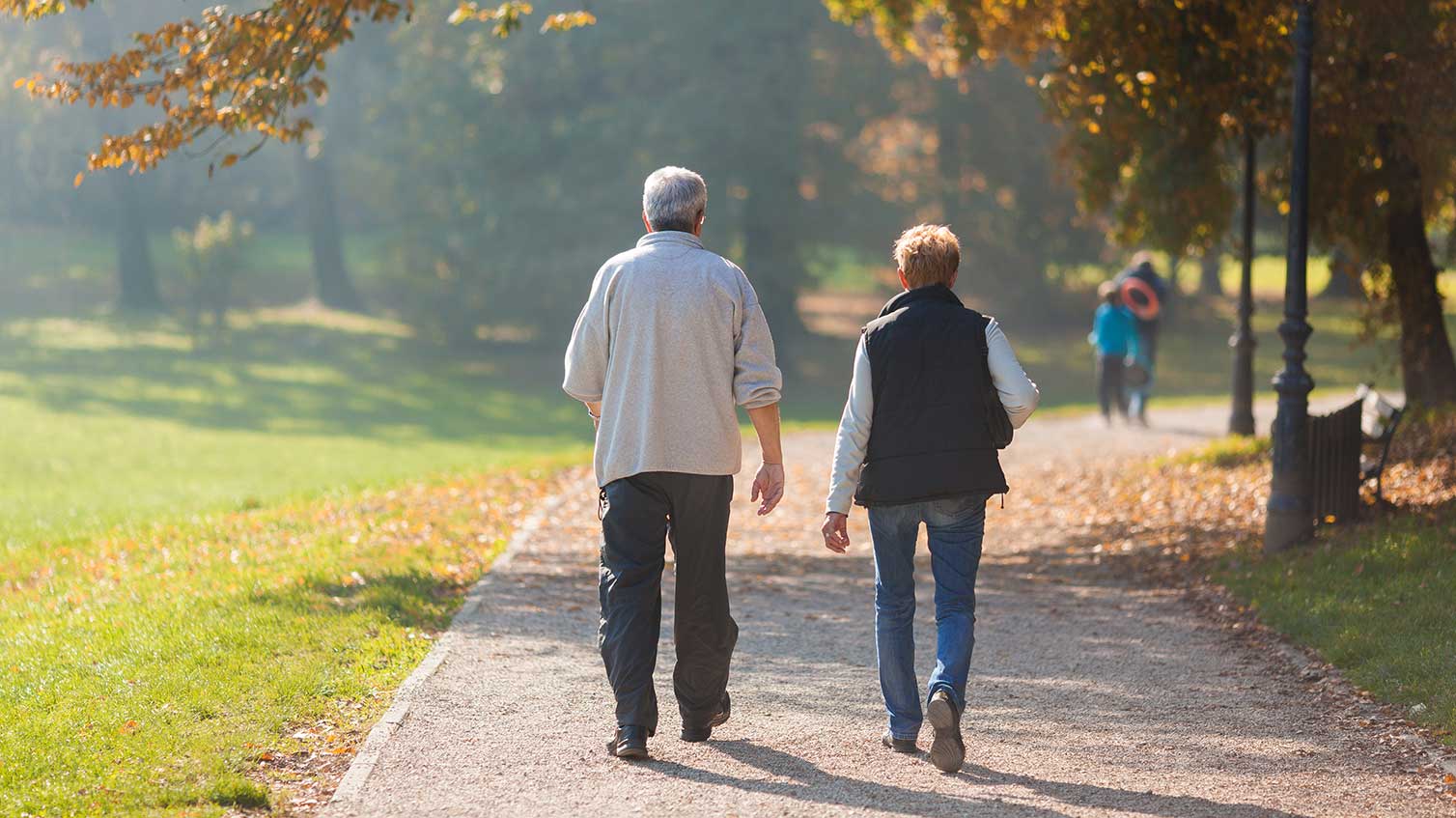 Longevity Explained: How to Extend Your Lifespan and Healthspan Through ...