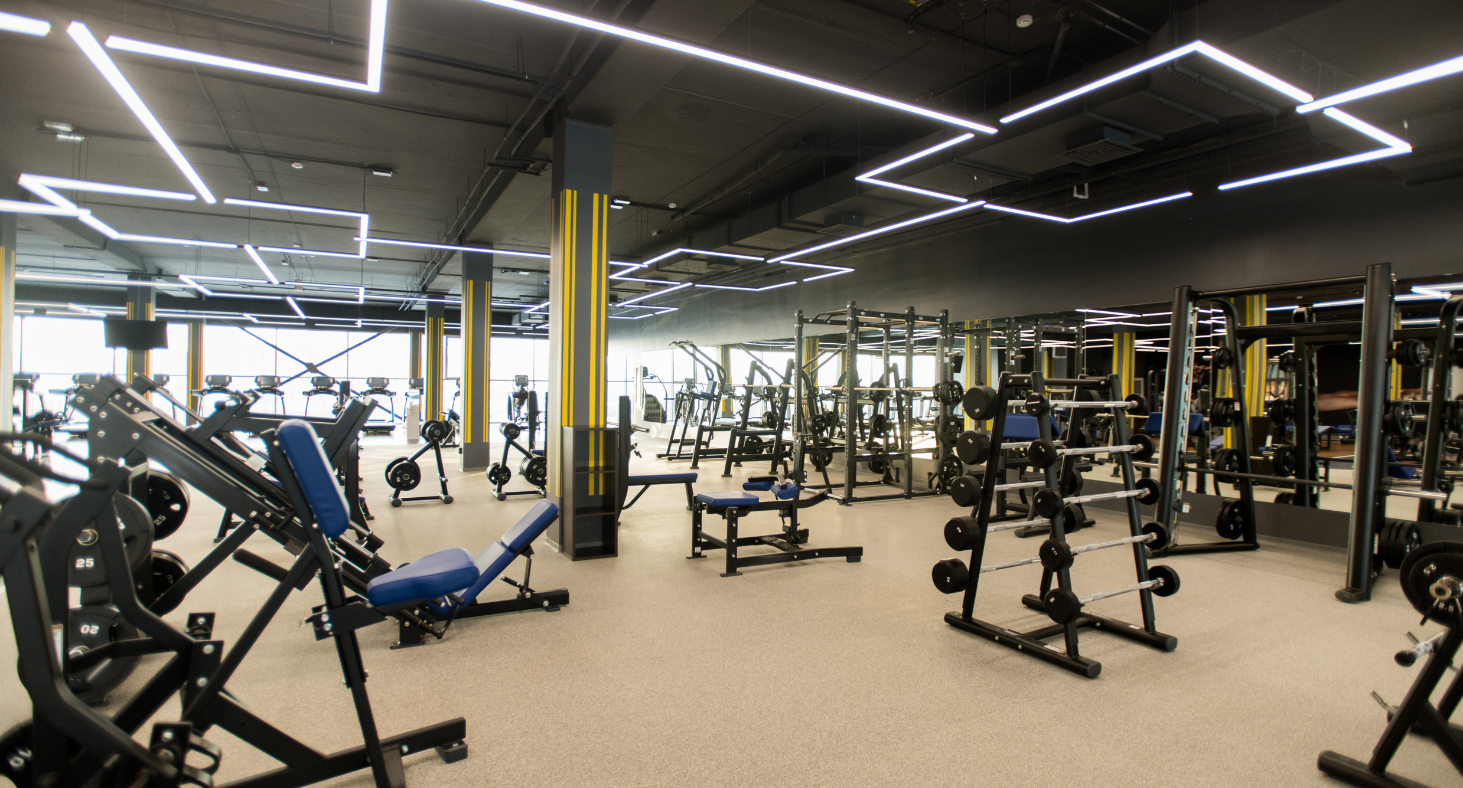 Dr. Alex Corbett Featured in GQ: Why the Belt Squat Is a Smart Tool for ...